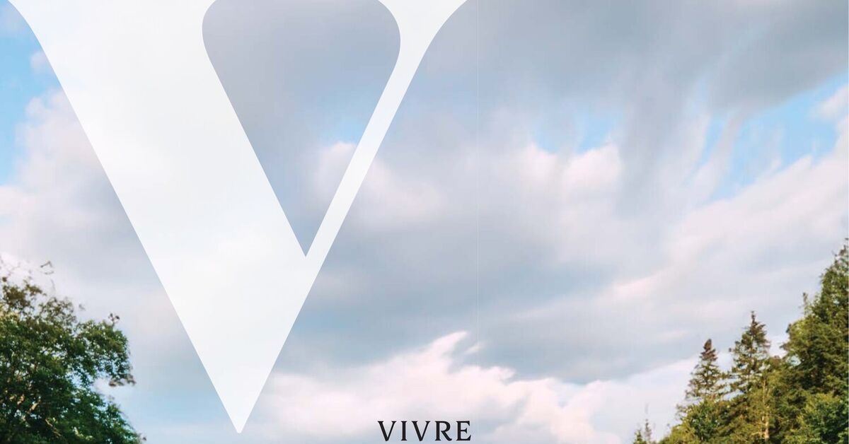 VT magazine EVT 25