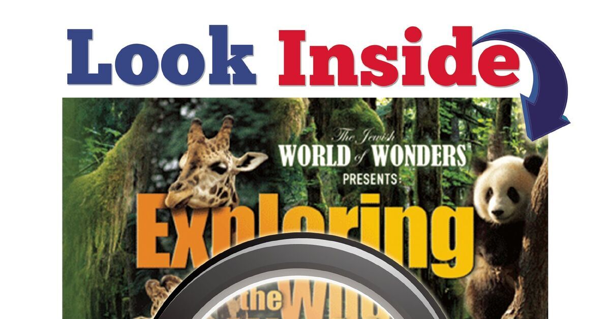 Exploring the Wild World of Animals