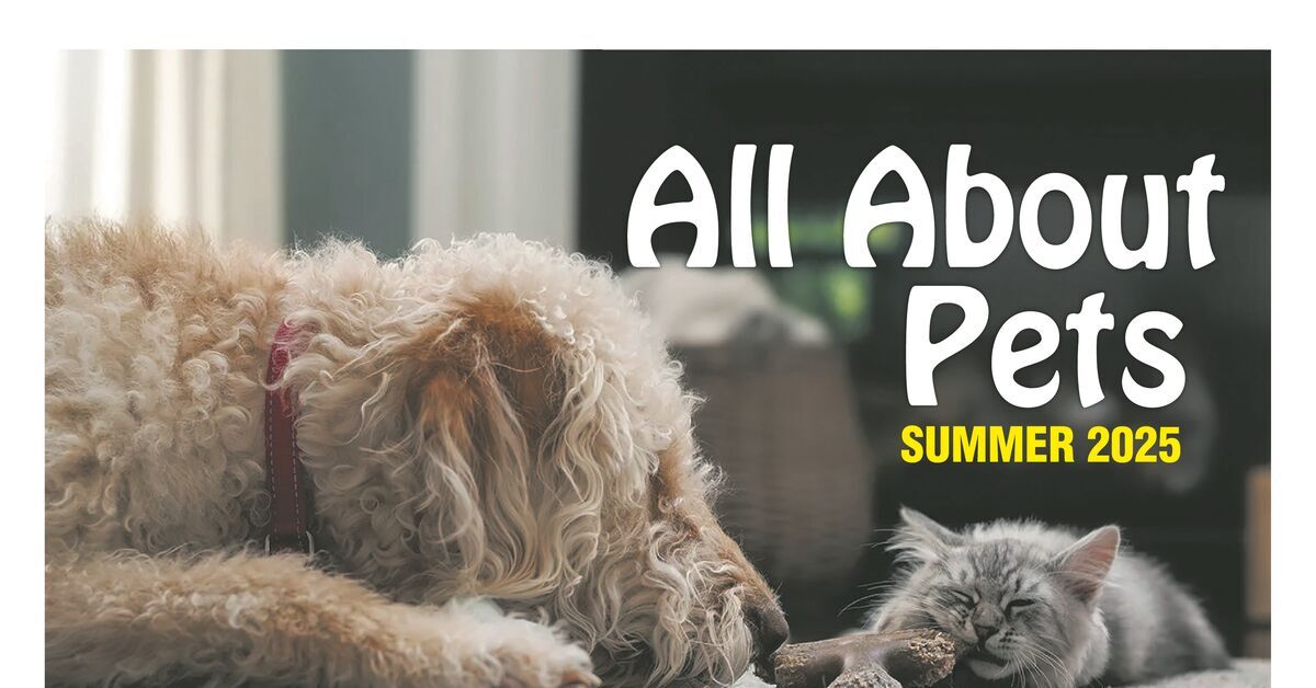 All About Pets 2025 - Waukesha